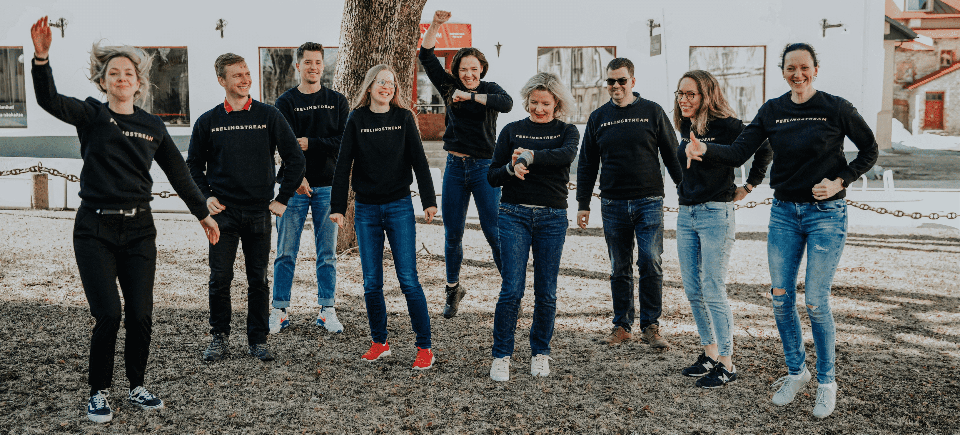 Jobs • Feelingstream